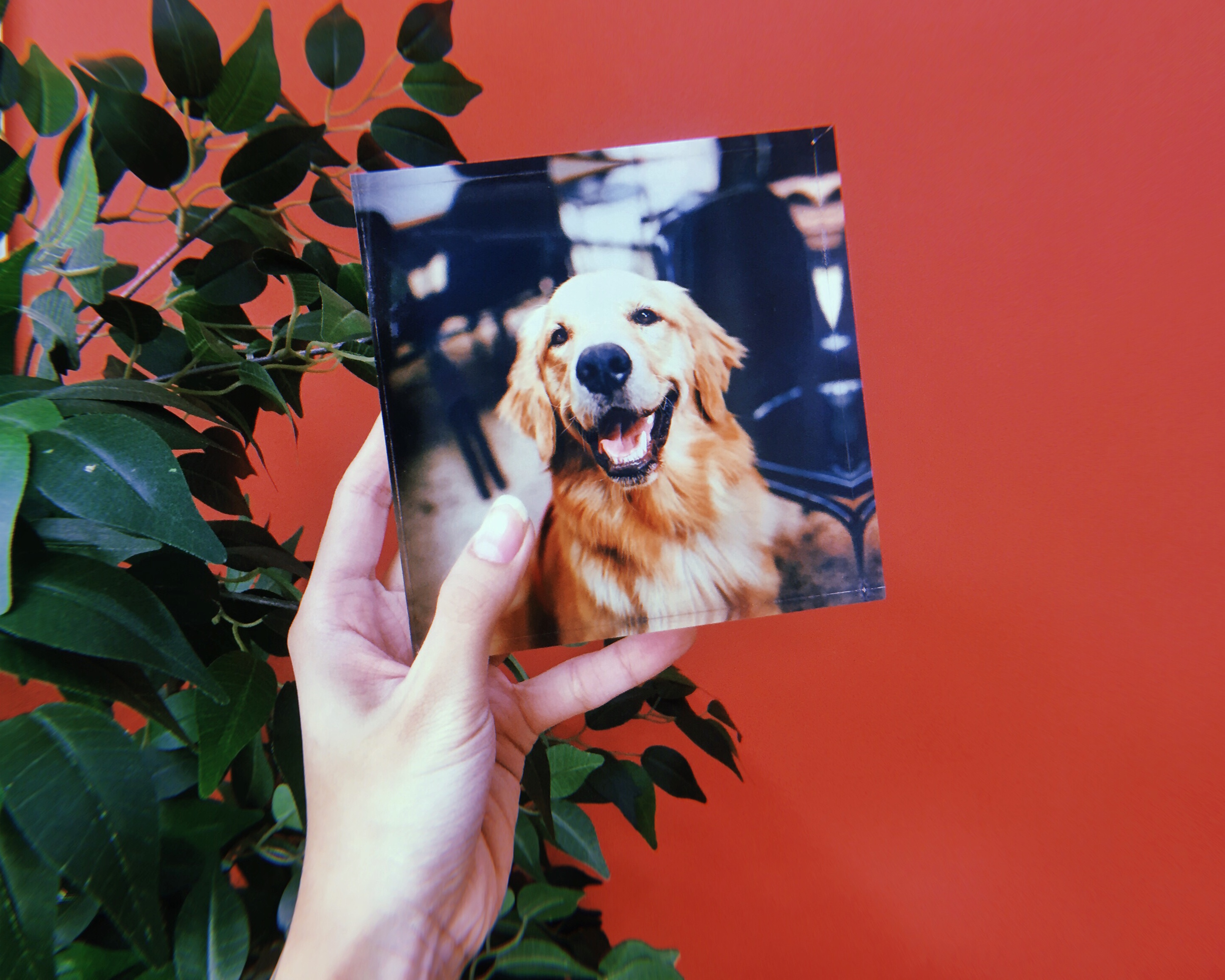 Get Creative With Our Newly Launched Acrylic Photo Block - Print For ...