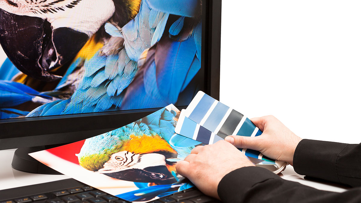 RGB or CMYK for Photo Printing? - Know the difference - Print For Fun Blog